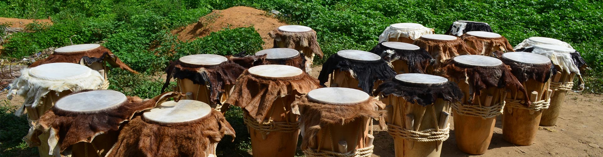 Luthiers Colombianos